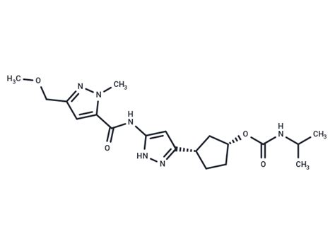 Pf07104091 Cdk2 Inhibitor Cell Cycle Apoptosis Targetmol