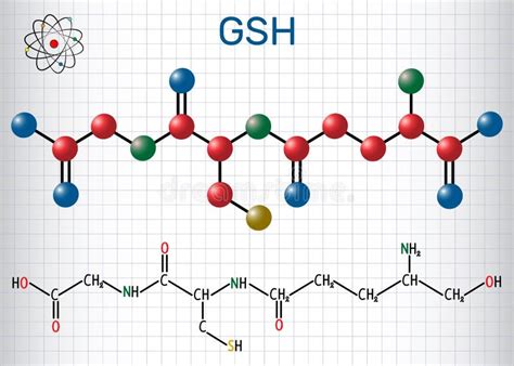 Tripeptide Structure