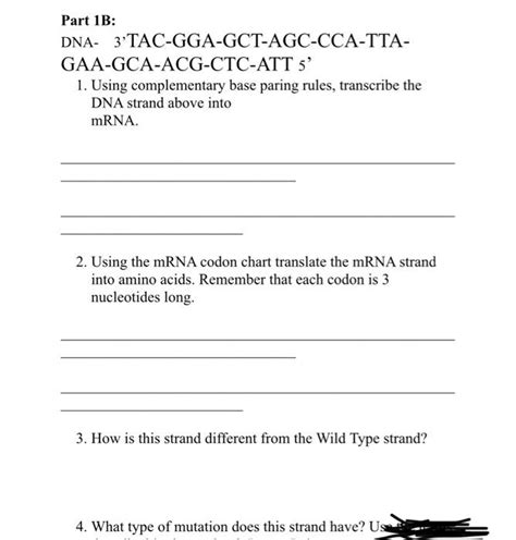 (Solved) - DNA- 3'TAC-GGA-GCT-AGC-CCA-TTA- GAA-GCA-ACG-CTC-ATT 5' 1. Using... (1 Answer ...