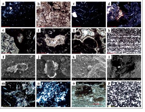 Figure 2 From Geochemical Characteristics Of Trace Elements And