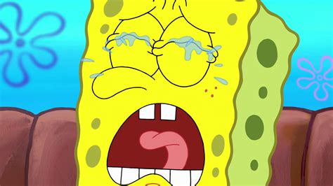 Spongebuddy Mania Spongebob Episode Bumper To Bumper