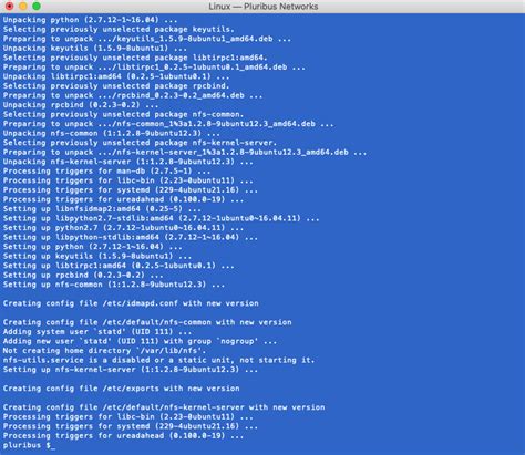 Non Authenticated Nfs Server Configuration On Linux