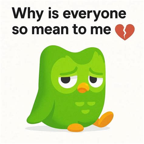 Duolingo Bird Why Is Everyone So Mean To Me Image By Paegegoerl615 On