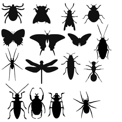Bug Decals Etsy