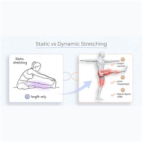 Static Vs Dynamic Stretch Sunshine Super Speciality Physiotherapy
