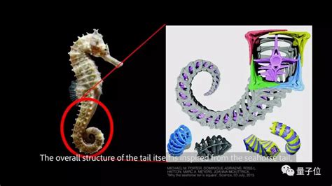 我长了一条日本制的尾巴，帮我智能保持平衡，拒绝平地摔 Siggraph 知乎