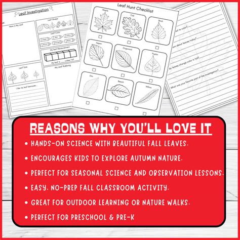 Fall Leaf Investigation Science Center Observation Sheet For