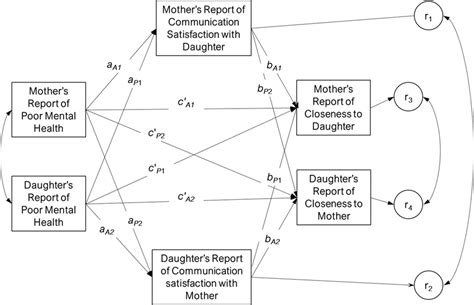 Hypothesized Actor Partner Interdependence Mediation Model Relating
