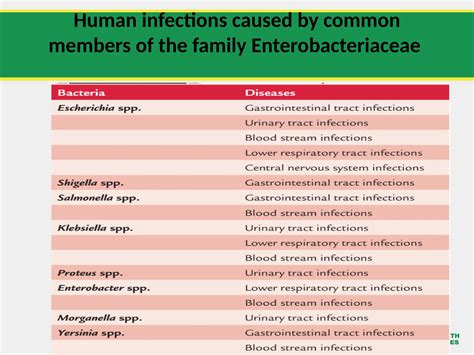 Enterobacteriaceaepptx Uhas Slides On Enterobacteriae Pptx