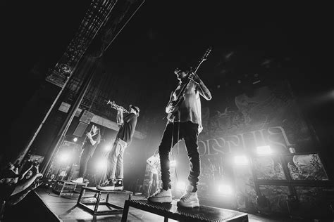 Polyphia — Ekaterina Gorbacheva Photography