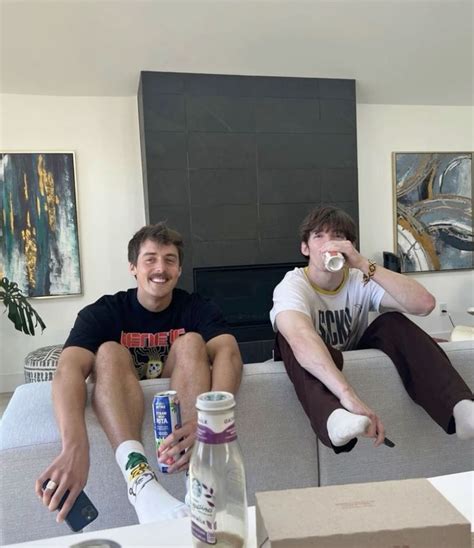 Albert And Denis Flamingo Albert Albert Flamingo Albert