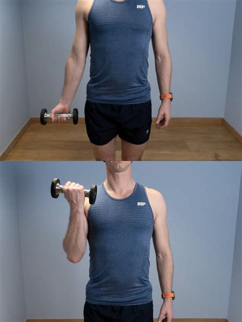 Golfers Elbow Common Flexor Tendinopathy Intermediate Exercise