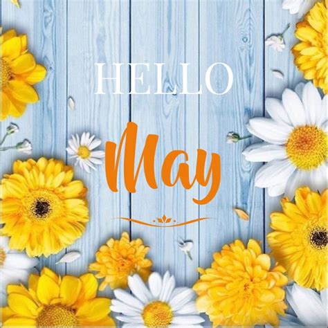 Hello May Template Postermywall