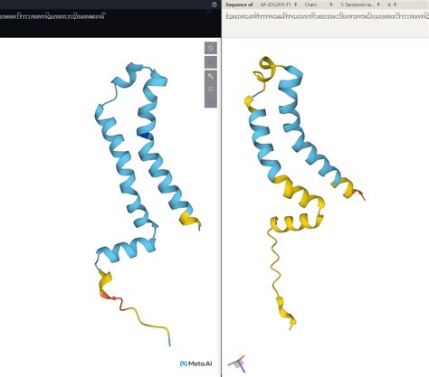 Shape Of A Protein Predicted By Two Different Ai Models Esmfold On The Left Alphafold On The