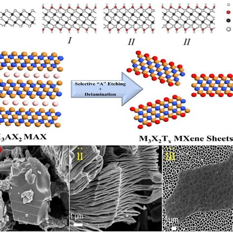 Schematic Diagram Of Mxene Reprinted With Permission From Ref 38