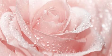 Who Invented Oral Sex Adult World