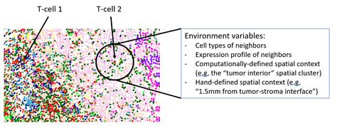 Demystifying Single Cell Spatial Biology With Cosmx Smi Rna Seq Blog