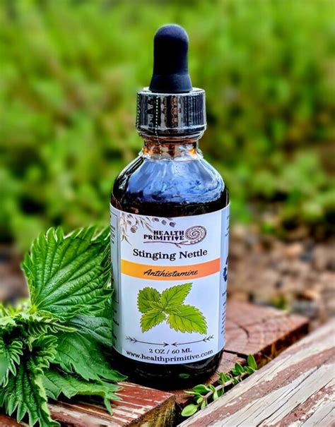 Stinging Nettle Extract ~ Healthprimitive