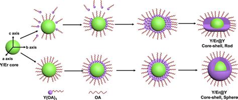Schematic Diagrams Of Shape Controlling Of Coreshell Ucnps Using Oa Download Scientific