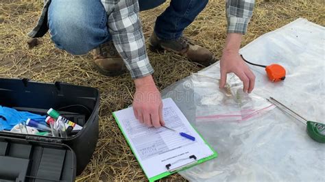 Grain Analysis In Laboratory Scientist Pouring Grain For Quality