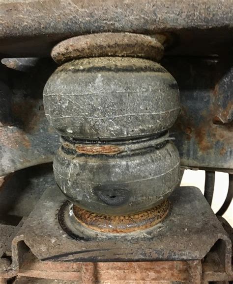 Tree Effects Tree Effects Added A New Photo