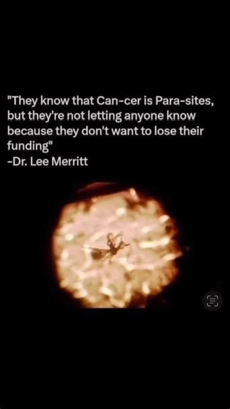 𝗞𝗔𝗬𝗟𝗘𝗘 𝗠𝗔𝗥𝗜𝗘i𝙃𝙤𝙡𝙞𝙨𝙩𝙞𝙘 𝙋𝙧𝙖𝙘𝙩𝙞𝙩𝙞𝙤𝙣𝙚𝙧 🌿 Are Root Canals Deadly 🦷 There