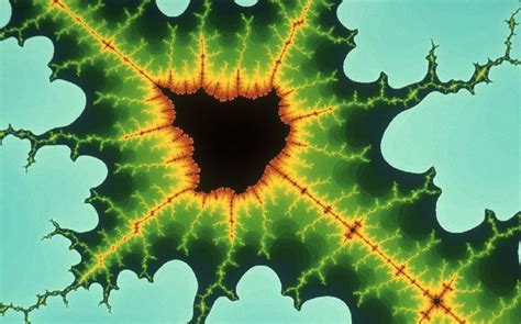 最美丽的数学：分形几何 几何学 新浪新闻
