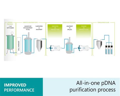 Bia Separations Inc On Linkedin Pdna Biomolecules Biotechnology Purification Bioscience