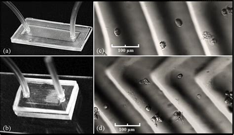 Microfluidic Devices With A Pure Wavy Pattern And B Download