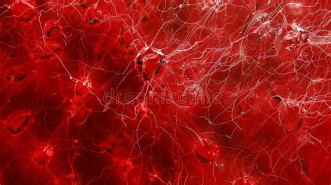 A Highresolution Image Of The Intricate Network Of Vessels Supplying