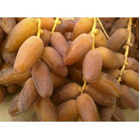 Jual Kurma Tunis Tangkai Kurma Madu Kemasan Mika 500gr Tunnese Asli Shopee Indonesia
