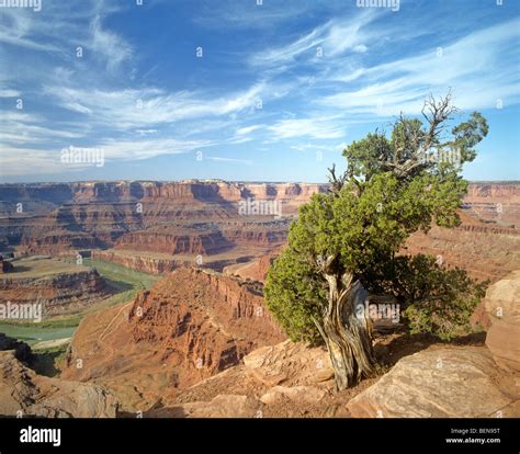 Dead Horse Point Overlook View Of Colorado River In Meander Canyon At
