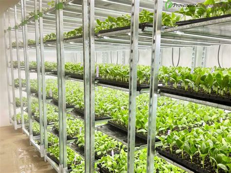 Provenance Propagation On Linkedin Glasshouse Cucumber