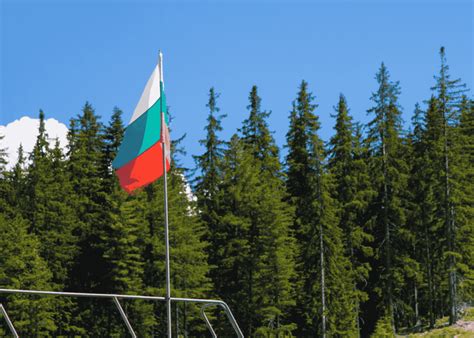 Коледни базари в България къде празничният дух е най впечатляващ