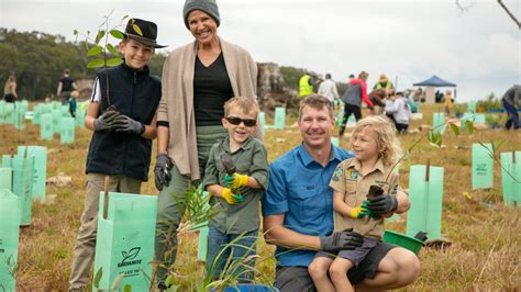 Creating A Greener Future Through Your Environment Levy Oursc