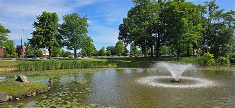 Sofias Of Clifton Park Llc Restaurant Reviews Photos And Phone Number