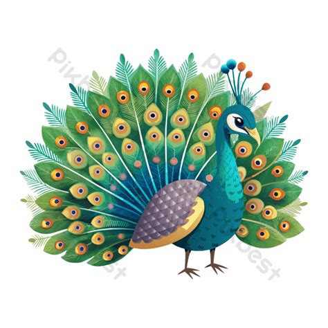 Full Color Peacock Cartoon Vector Illustration Png Images Eps Free