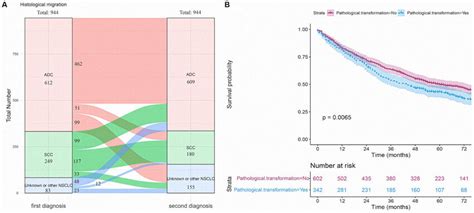 A Sankey Diagram Of Histologic Migration B Survival Analysis Of