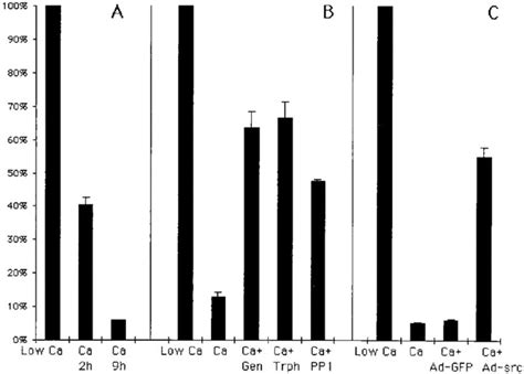 Quantitative Measurements Of Keratinocyte Cell Adhesion As Determined