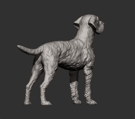3d File German Wirehaired Pointers 3d Print Model・3d Printer Model To