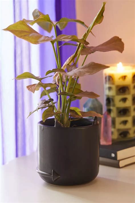 Horned Mini Planter Urban Outfitters
