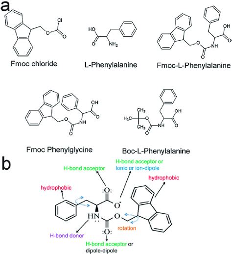 A The Chemical Formulae Of Fmoc Chloride L Phenylalanine