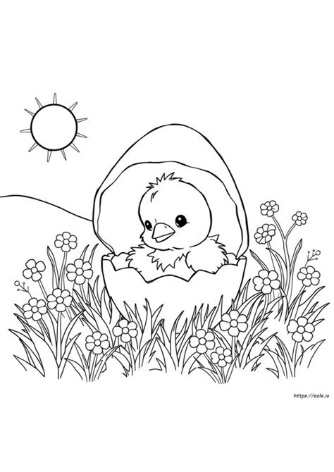 Pintinho Para Colorir