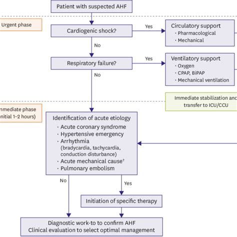 New York Heart Association Functional Classification Of Dyspnea