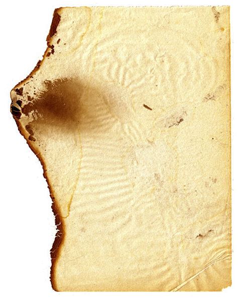 Burnt Paper Scroll Background