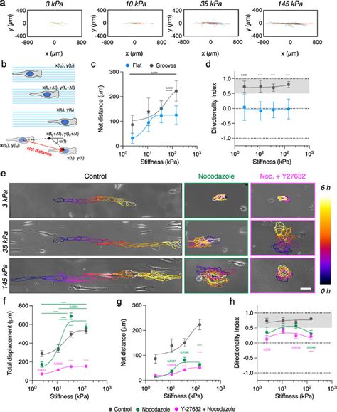 Microtubule Depolymerization Leads To A Stiffness Dependent Download Scientific Diagram