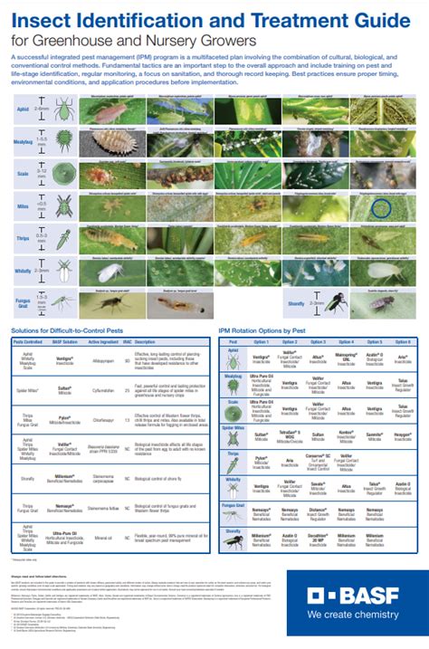 Basf Insect Identification And Treatment Guide