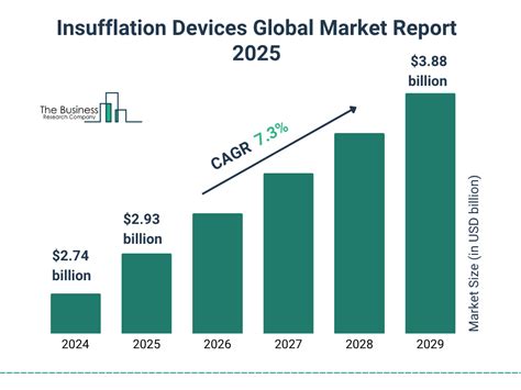 Insufflation Devices Market Analysis And Research Report 2025 2034
