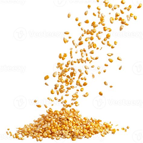 Yellow Corn Kernels In Midair 52647911 Png