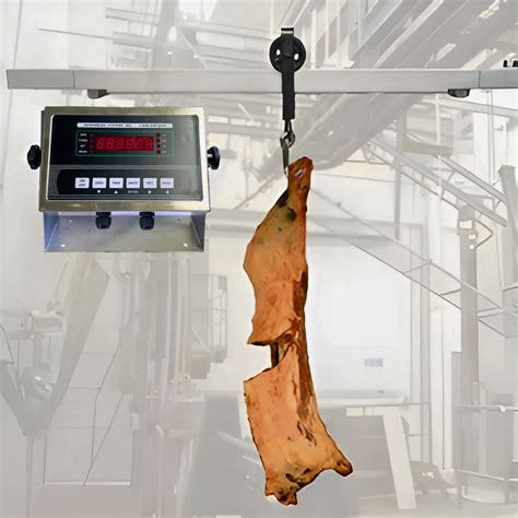 Carcass Weighing Rail Scale Interweigh Systems Inc